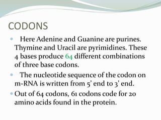 Gene structure and expreession | PPTX