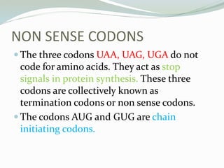 Gene structure and expreession | PPTX