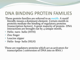 Gene structure and expreession | PPTX