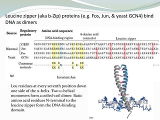 Gene structure and expreession | PPTX