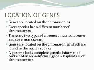 Gene structure and expreession | PPTX