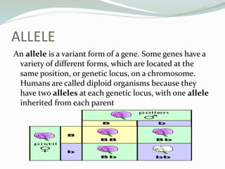 Gene structure and expreession | PPTX