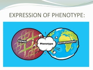 Gene structure and expreession | PPTX