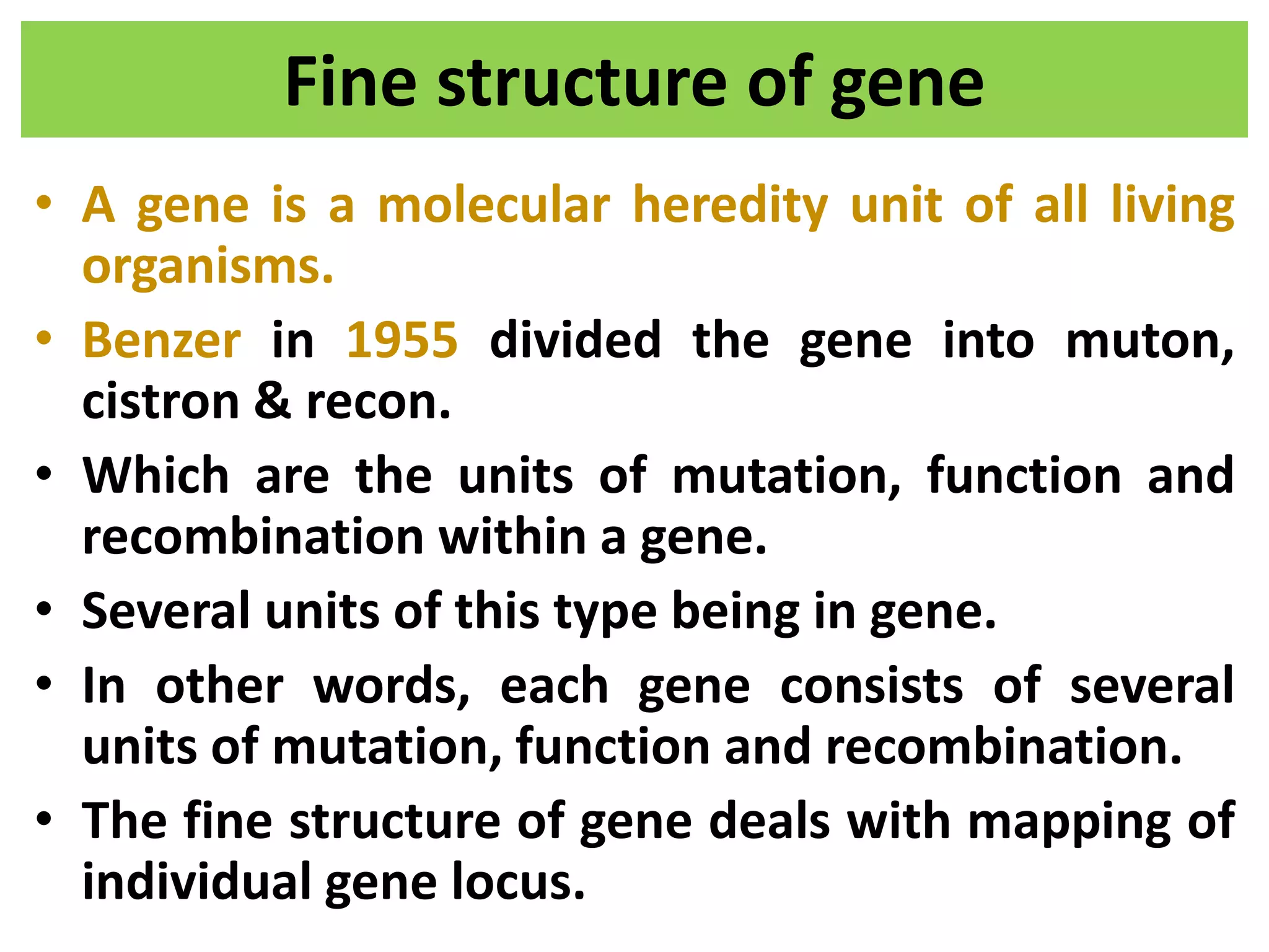 Gene structure and expression | PPTX