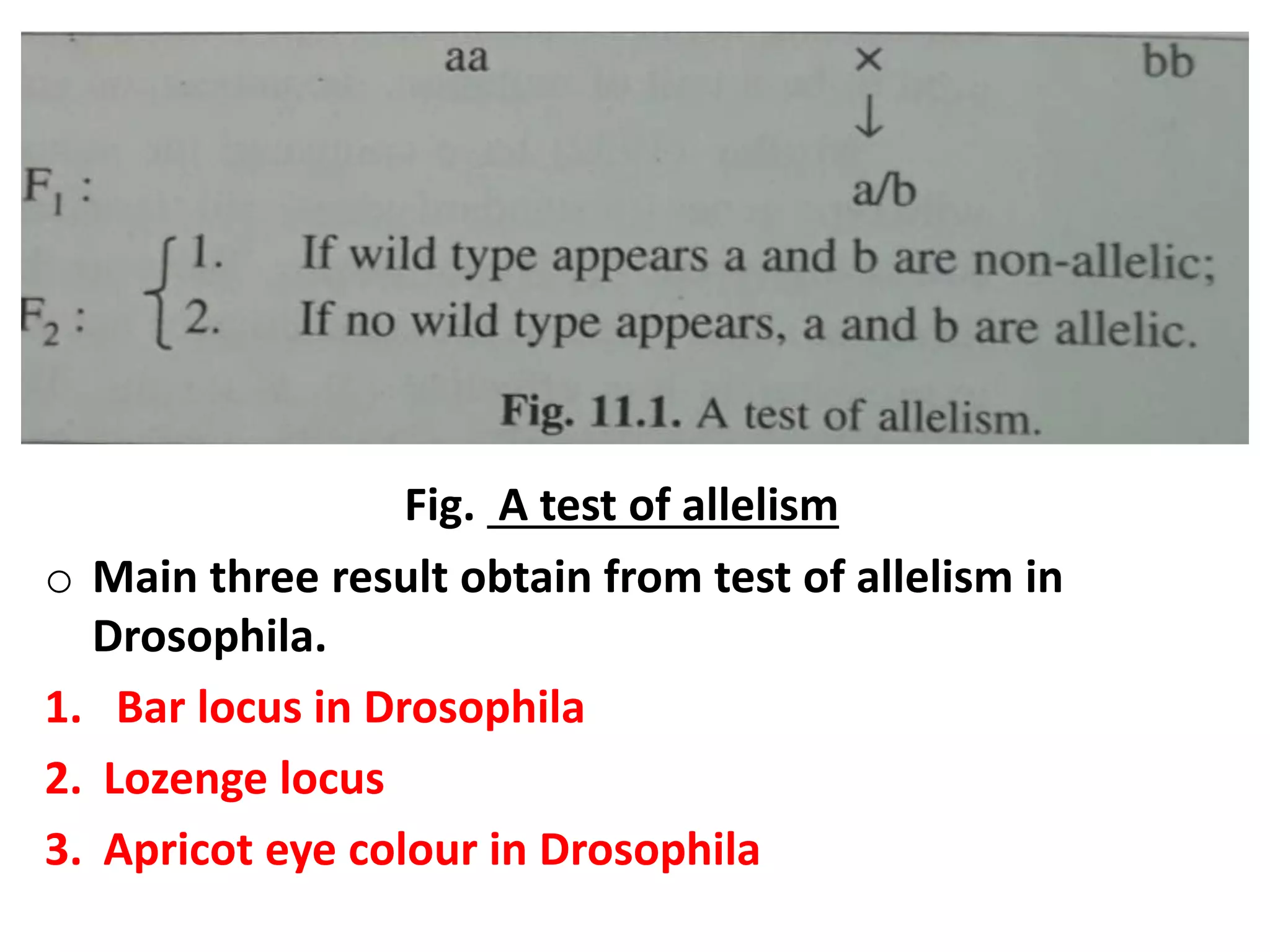 Gene structure and expression | PPTX