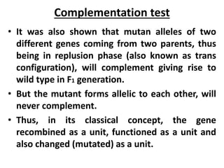 Gene structure and expression | PPTX
