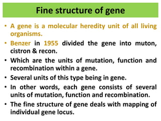 Gene structure and expression | PPTX