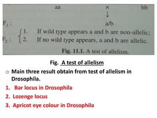 Gene structure and expression | PPTX