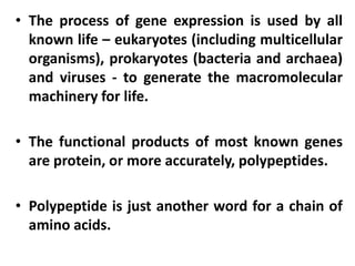 Gene structure and expression | PPTX
