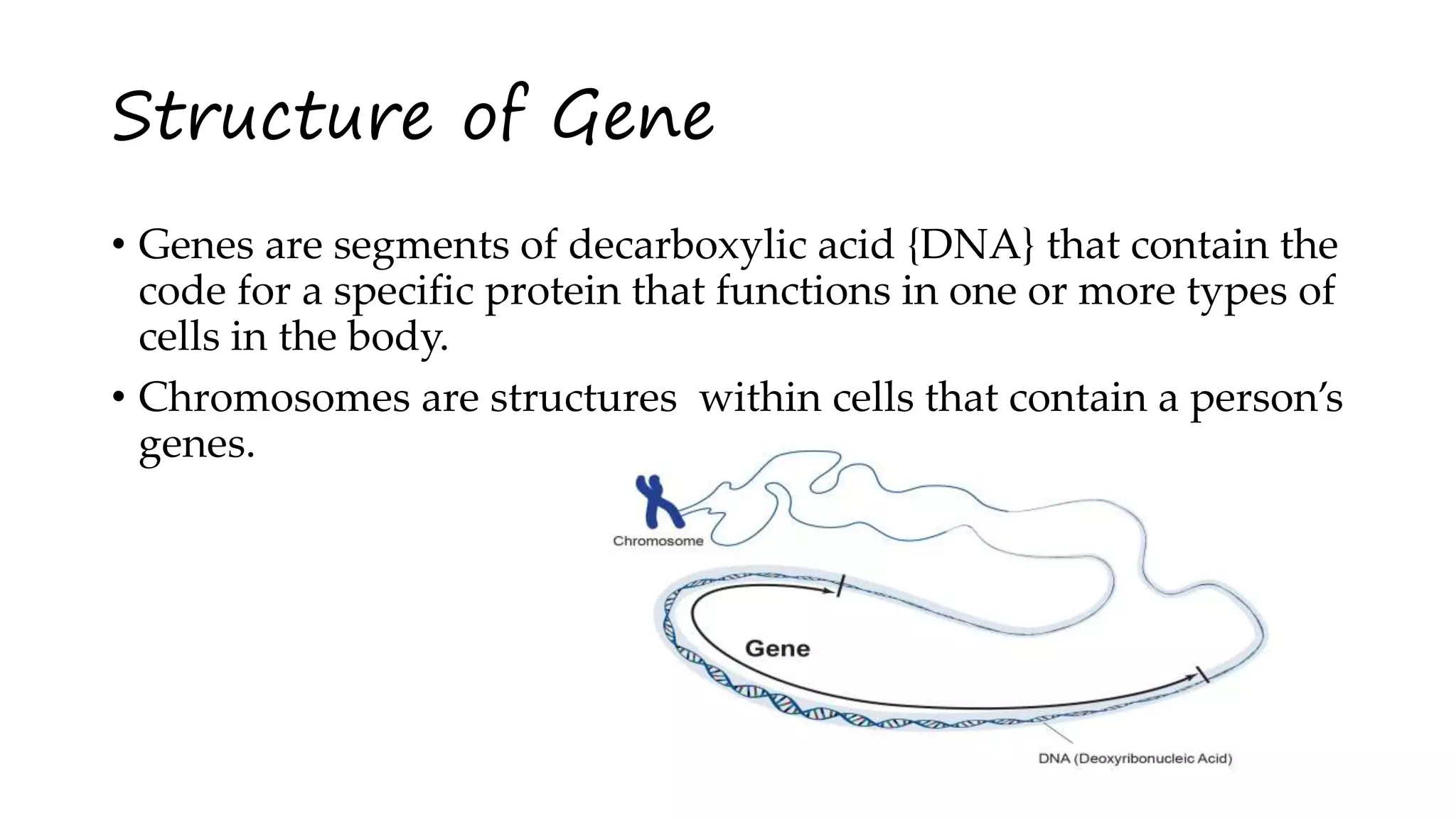 Gene structure | PPTX