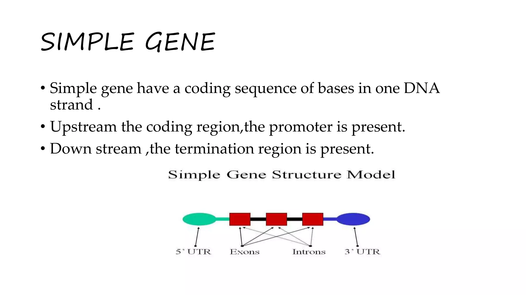 Gene structure | PPTX
