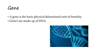 Gene structure | PPTX