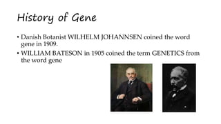 Gene structure | PPTX