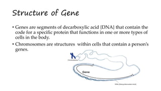 Gene structure | PPTX