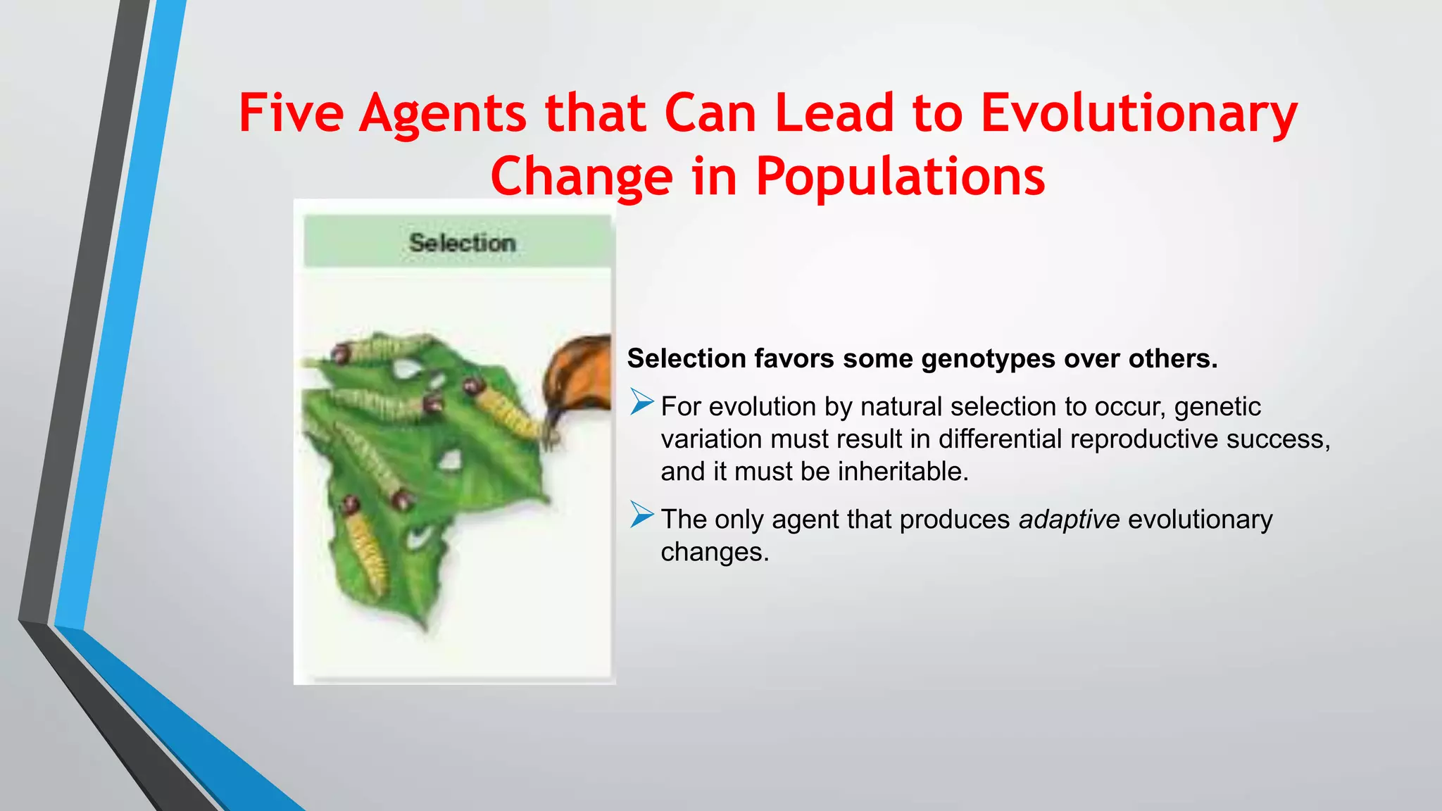 Genes within population | PPTX