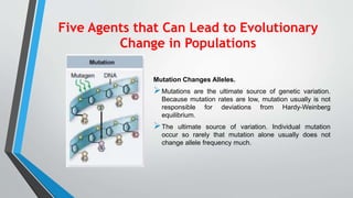 Genes within population | PPTX