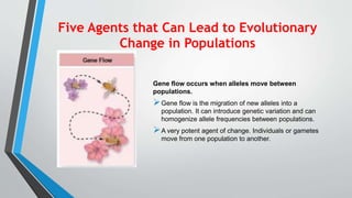 Genes within population | PPTX