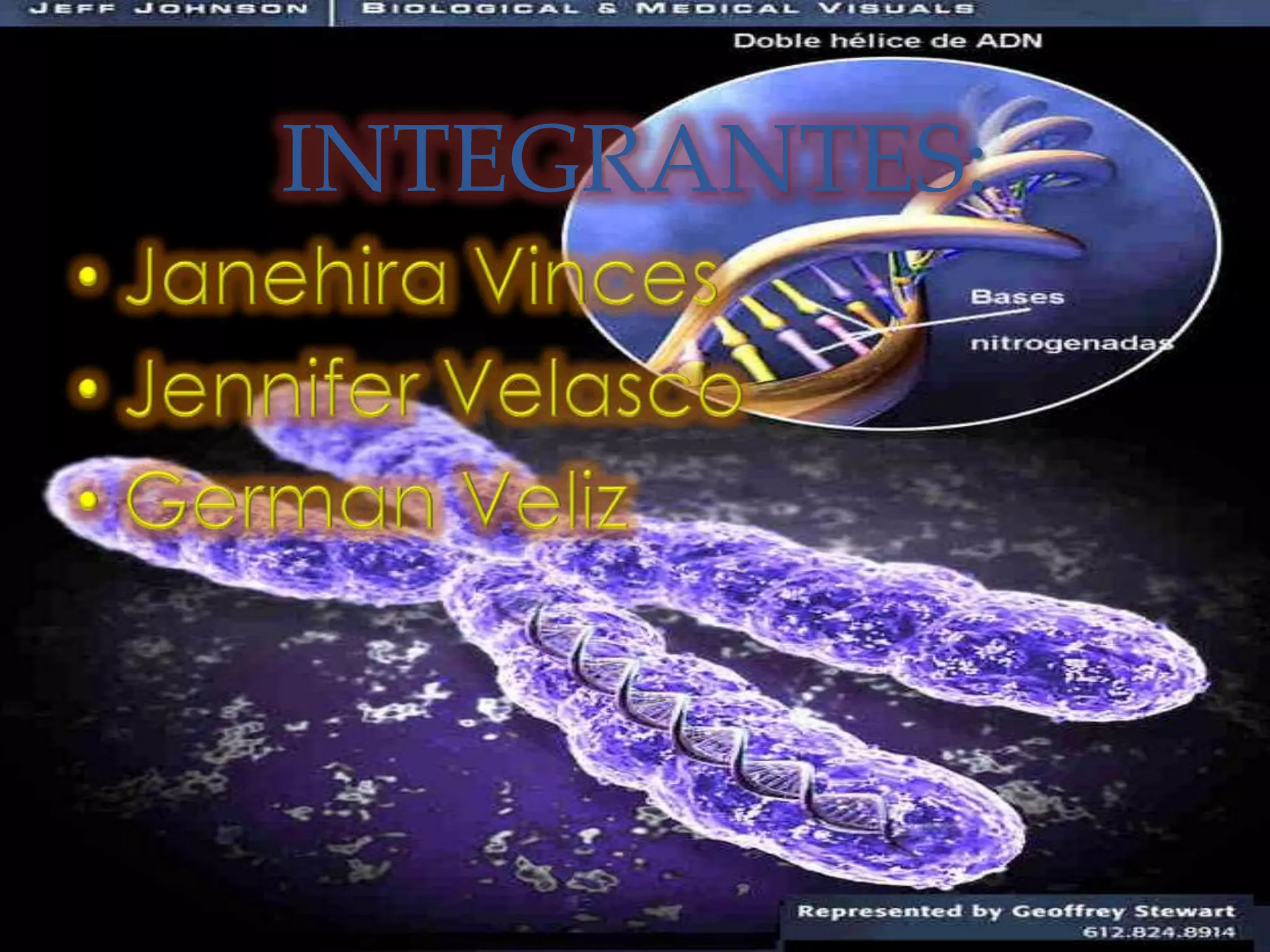 Genes y cromosomas | PPTX