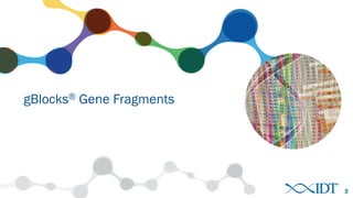 Gene synthesis technology and applications update—unleash your lab’s ...