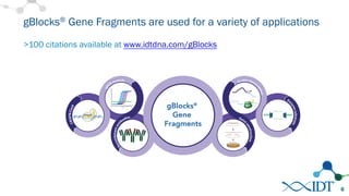 Gene synthesis technology and applications update—unleash your lab’s ...