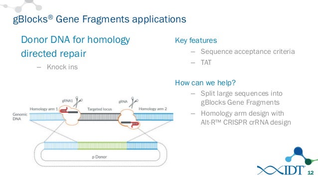 Gene synthesis technology and applications update—unleash your lab’s