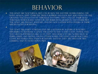 Genet Madi Mauk | PPT