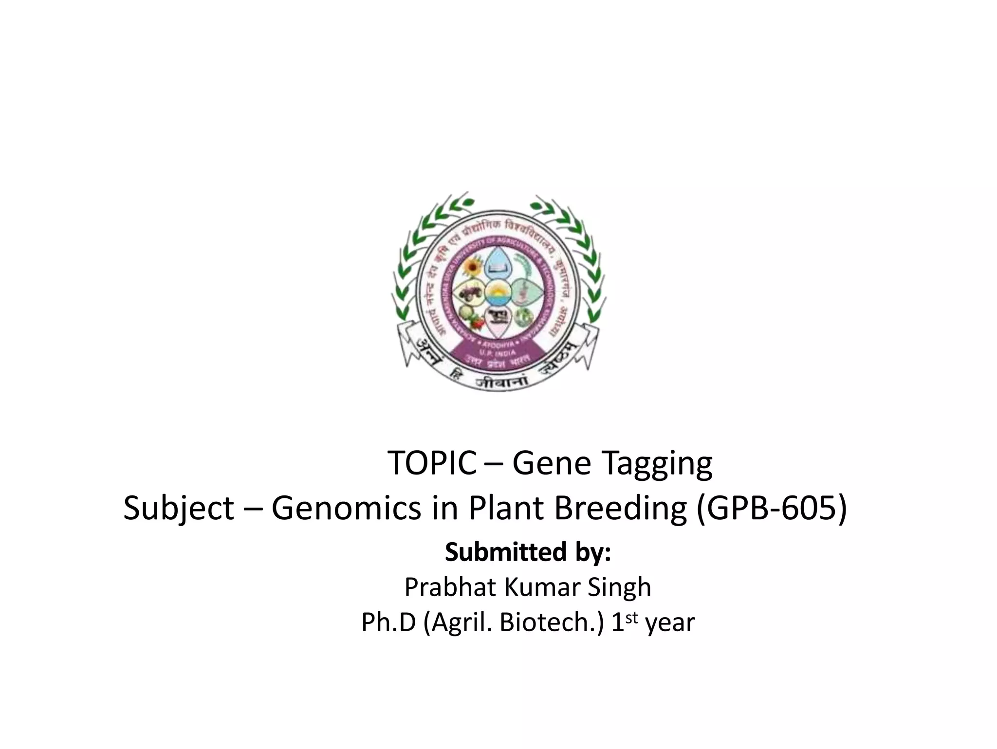 Gene tagging.pptx