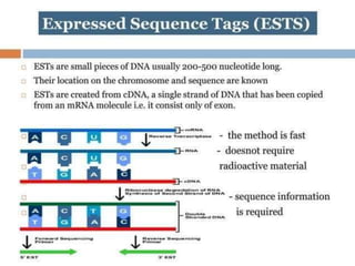 Gene tagging.pptx