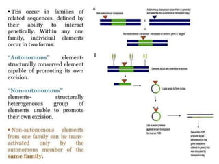 Gene tagging.pptx