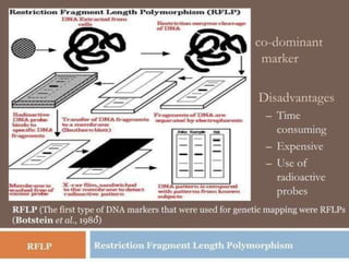 Gene tagging.pptx