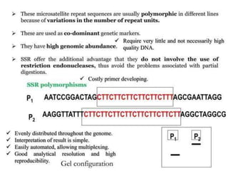 Gene tagging.pptx