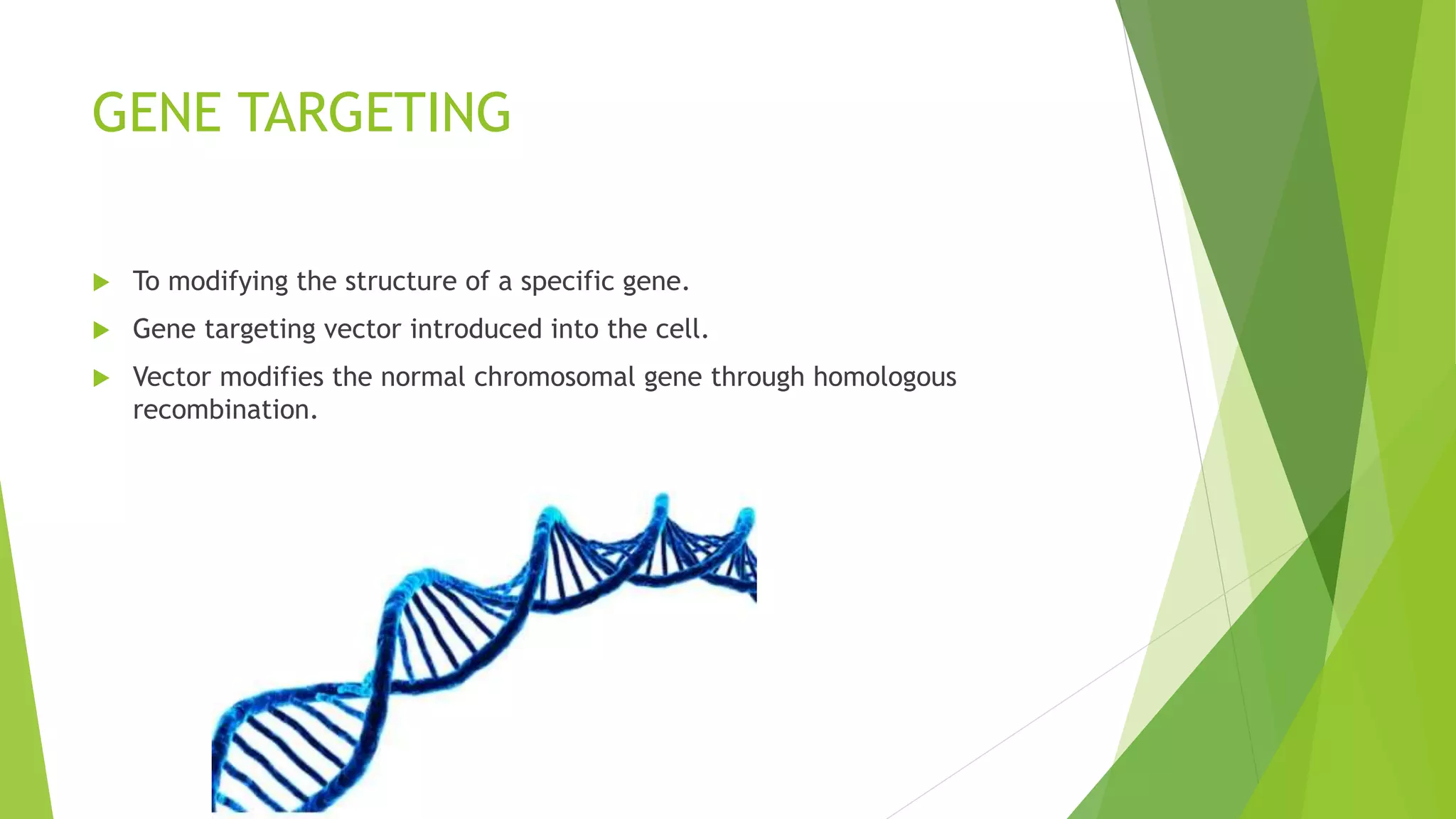 Gene targeting and sequence tags | PPTX