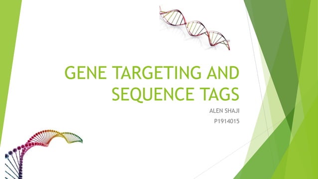 Gene targeting and sequence tags | PPTX | Genetics | Science