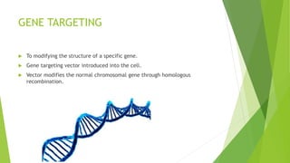 Gene targeting and sequence tags | PPTX