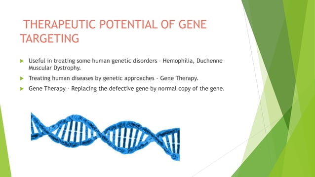 Gene targeting and sequence tags | PPTX | Genetics | Science
