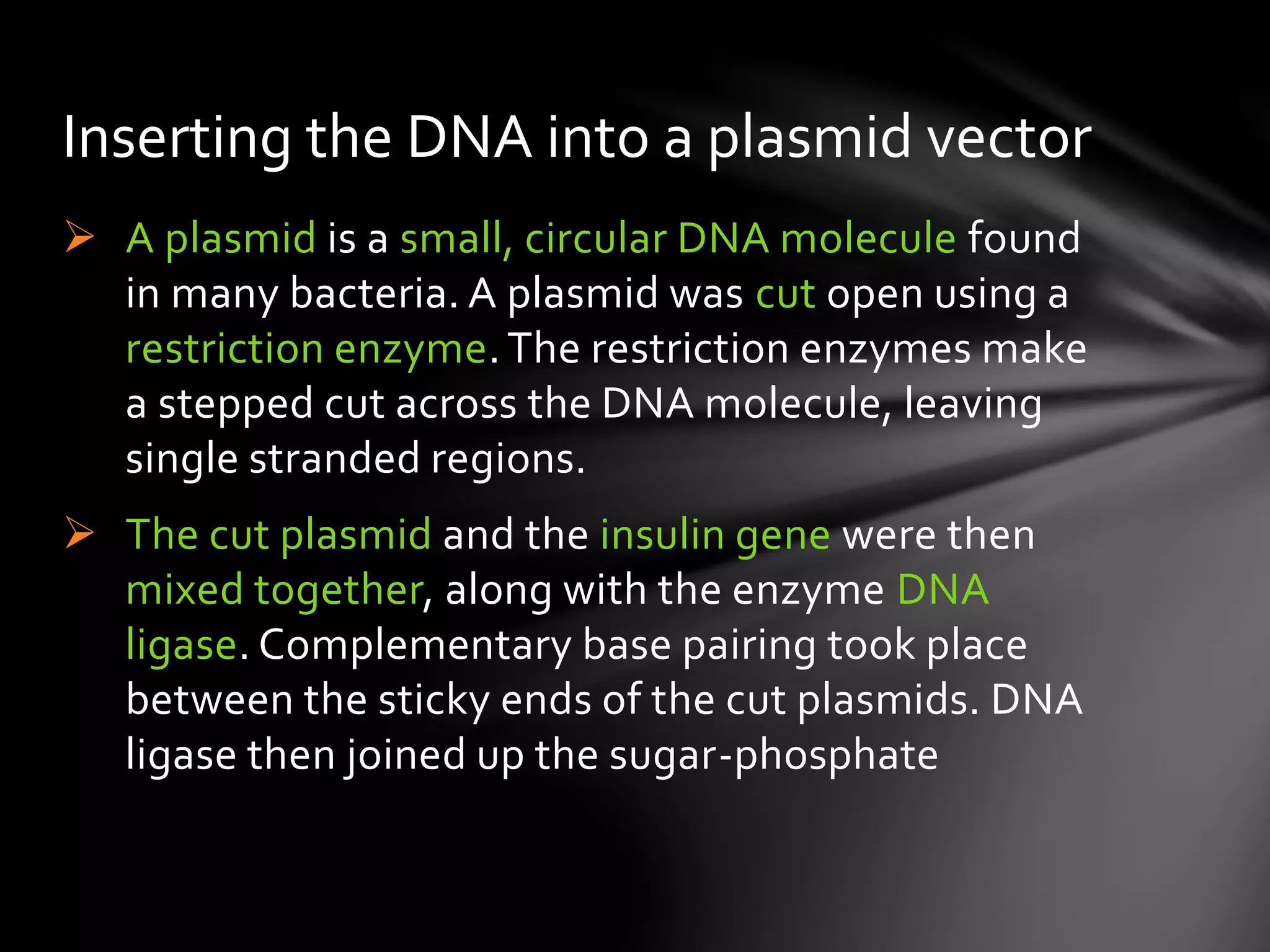 A-level Gene technology | PPTX