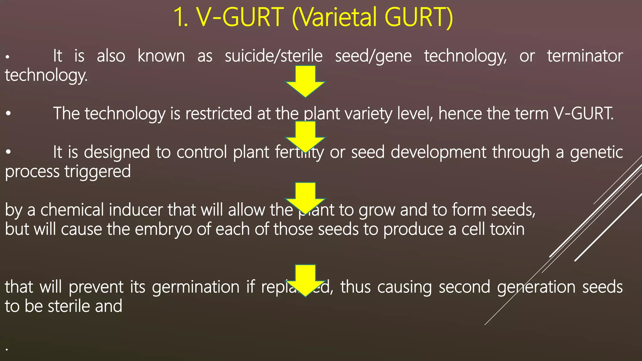 Terminator Gene Technology | PPTX