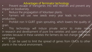 Terminator Gene Technology | PPTX