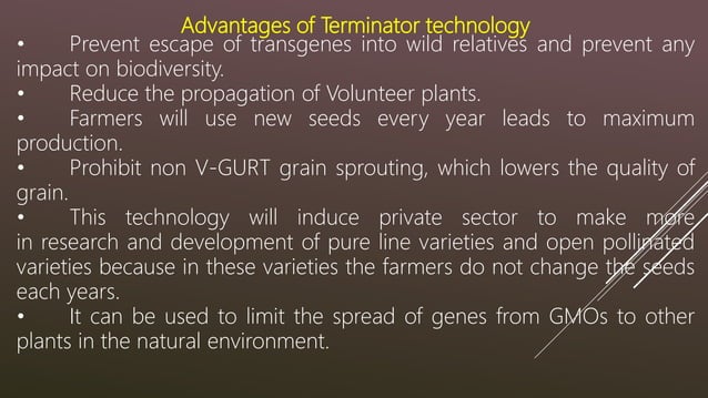 Terminator Gene Technology | PPTX