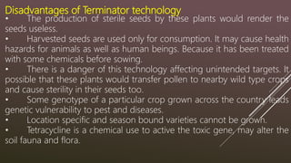 Terminator Gene Technology | PPTX
