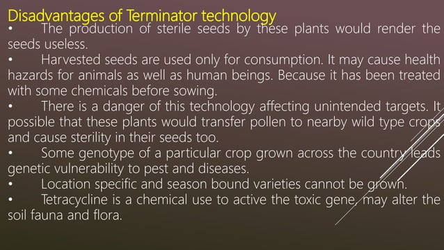 Terminator Gene Technology | PPTX