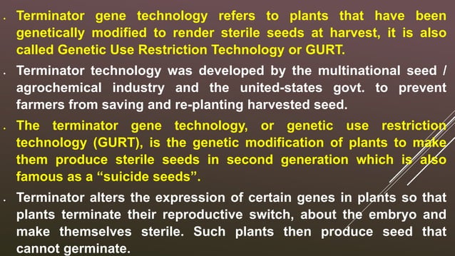 Terminator Gene Technology | PPTX