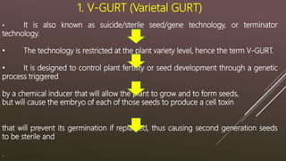 Terminator Gene Technology | PPTX