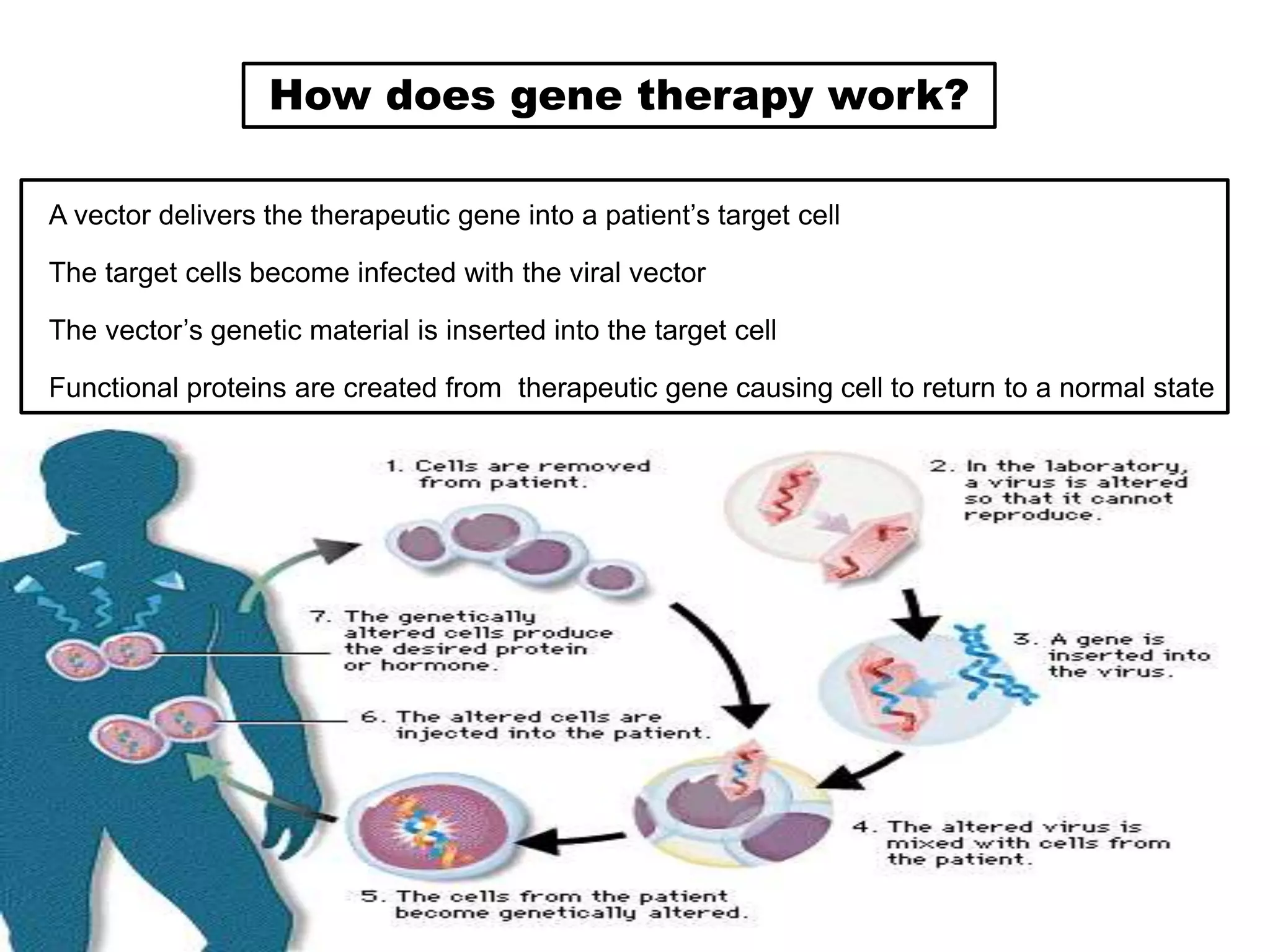 Gene theapy | PPTX | Cancer | Diseases and Conditions