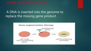 GENE THERAPHY PRESENTATION.pptx