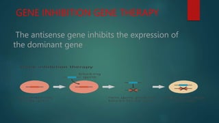GENE THERAPHY PRESENTATION.pptx