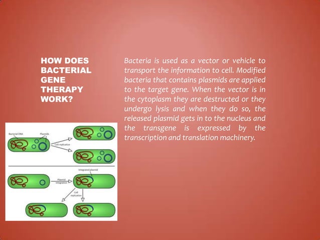 Gene therapy | PPT