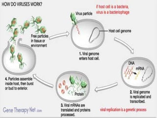 Gene therapy | PPT