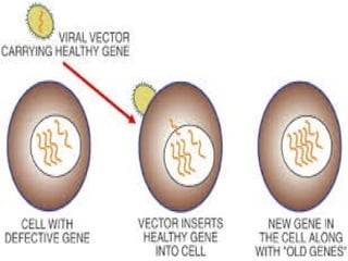Gene therapy | PPT