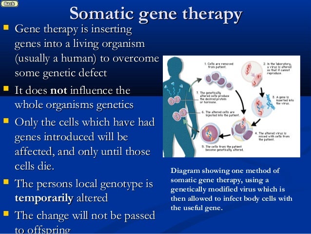 Gene Therapy Gene Therapy